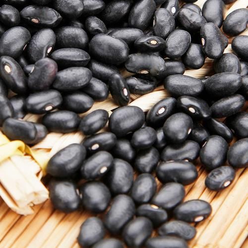 黑豆和黑芸豆是一样的吗_黑豆和黑芸豆区别-第1张图片-山城妙识 黑豆和黑芸豆是一样的吗_黑豆和黑芸豆区别-第1张图片-山城妙识