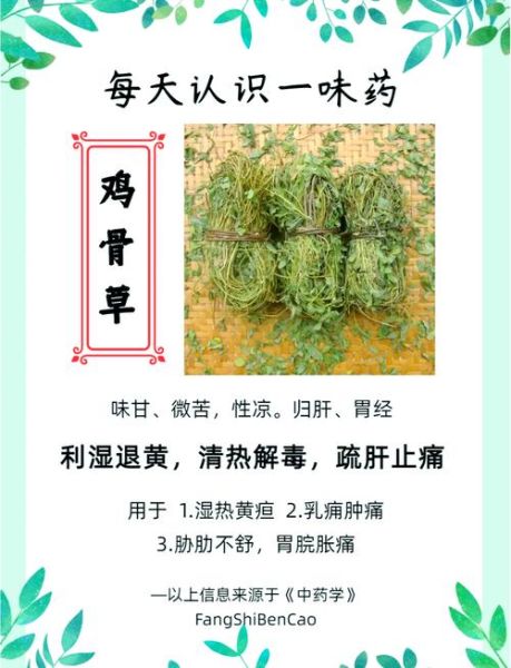 鸡骨草叶的功效与作用_鸡骨草叶怎么泡水喝-第1张图片-山城妙识