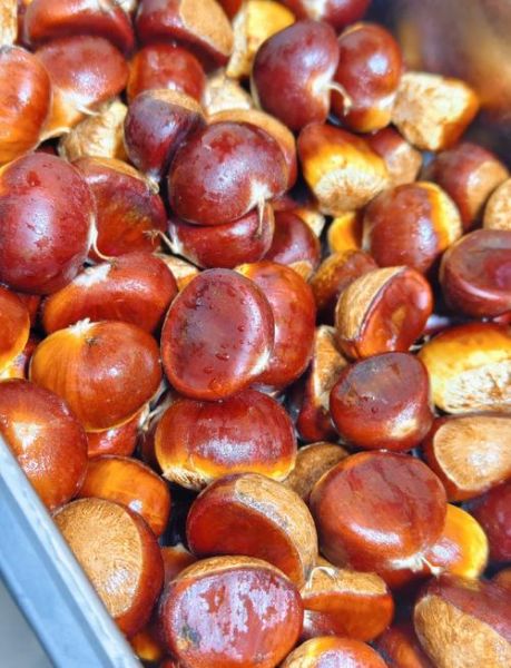 板栗怎么剥壳快_生板栗去壳最快方法-第2张图片-山城妙识 板栗怎么剥壳快_生板栗去壳最快方法-第2张图片-山城妙识