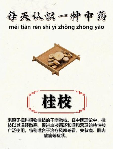 桂枝的功效与作用禁忌_桂枝哪些人不能吃-第2张图片-山城妙识