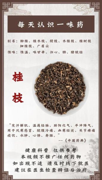 桂枝的功效与作用禁忌_桂枝哪些人不能吃-第1张图片-山城妙识
