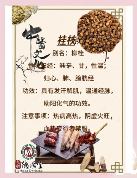 桂枝的功效与作用禁忌_桂枝哪些人不能吃-第3张图片-山城妙识