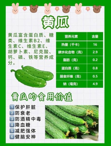 黄瓜的营养价值有哪些_吃黄瓜能减肥吗-第1张图片-山城妙识 黄瓜的营养价值有哪些_吃黄瓜能减肥吗-第1张图片-山城妙识