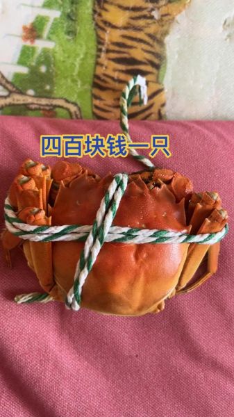 阳澄湖大闸蟹半斤一只多少钱_阳澄湖大闸蟹价格表-第2张图片-山城妙识 阳澄湖大闸蟹半斤一只多少钱_阳澄湖大闸蟹价格表-第2张图片-山城妙识