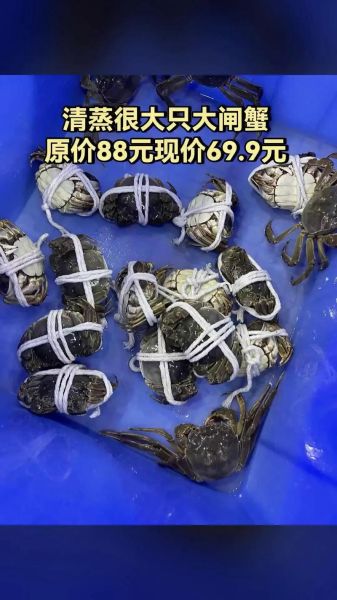 阳澄湖大闸蟹半斤一只多少钱_阳澄湖大闸蟹价格表-第3张图片-山城妙识 阳澄湖大闸蟹半斤一只多少钱_阳澄湖大闸蟹价格表-第3张图片-山城妙识
