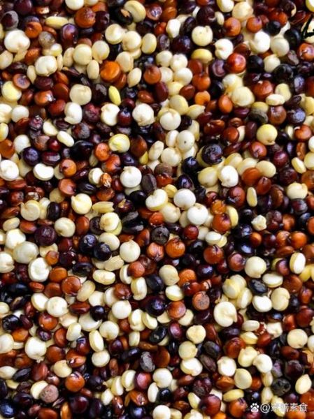 藜麦白色好还是三色好_哪个营养价值更高-第3张图片-山城妙识 藜麦白色好还是三色好_哪个营养价值更高-第3张图片-山城妙识