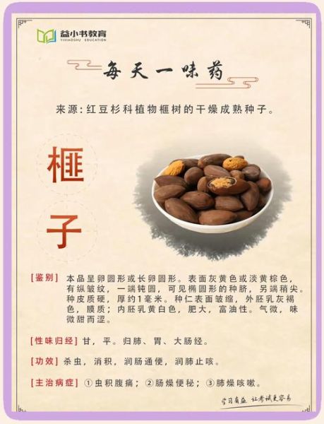 香榧子的功效与作用_香榧子怎么吃效果最好-第1张图片-山城妙识 香榧子的功效与作用_香榧子怎么吃效果最好-第1张图片-山城妙识