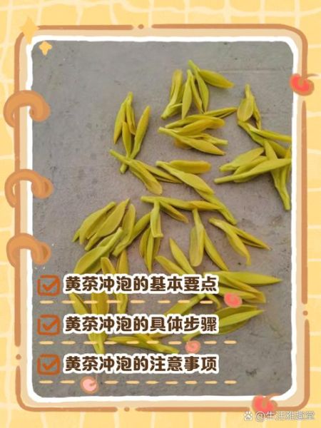 黄茶怎么泡_黄茶冲泡水温多少度-第3张图片-山城妙识 黄茶怎么泡_黄茶冲泡水温多少度-第3张图片-山城妙识
