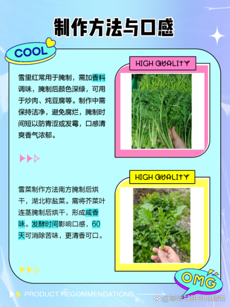 雪菜和雪里红是一样的吗_雪菜和雪里红的区别-第1张图片-山城妙识 雪菜和雪里红是一样的吗_雪菜和雪里红的区别-第1张图片-山城妙识