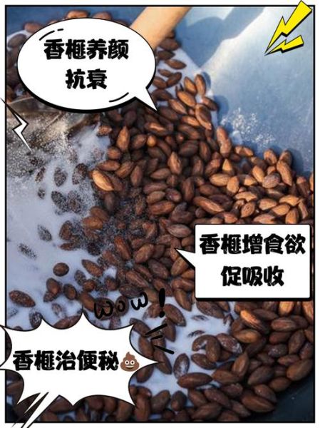 香榧子的功效与作用_香榧子怎么吃效果最好-第3张图片-山城妙识 香榧子的功效与作用_香榧子怎么吃效果最好-第3张图片-山城妙识