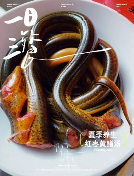 鳝鱼汤什么人不能喝_鳝鱼汤禁忌人群-第3张图片-山城妙识 鳝鱼汤什么人不能喝_鳝鱼汤禁忌人群-第3张图片-山城妙识