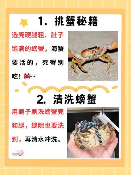 螃蟹蒸多久才熟透_清蒸螃蟹最佳时间-第1张图片-山城妙识 螃蟹蒸多久才熟透_清蒸螃蟹最佳时间-第1张图片-山城妙识