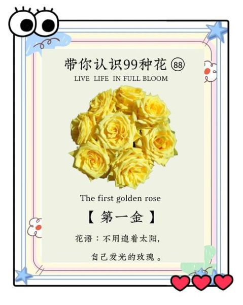 黄玫瑰花语是什么_黄玫瑰适合送什么人-第1张图片-山城妙识 黄玫瑰花语是什么_黄玫瑰适合送什么人-第1张图片-山城妙识