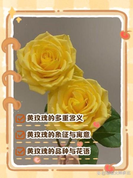 黄玫瑰花语是什么_黄玫瑰适合送什么人-第3张图片-山城妙识 黄玫瑰花语是什么_黄玫瑰适合送什么人-第3张图片-山城妙识