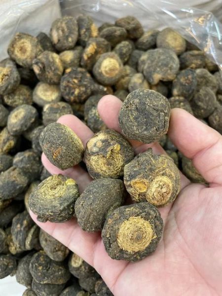 玛卡泡水喝的功效与作用_玛卡泡水喝的正确方法-第3张图片-山城妙识