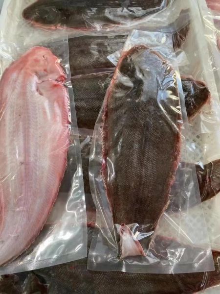 龙利鱼是什么鱼_龙利鱼是海里的还是淡水的-第2张图片-山城妙识 龙利鱼是什么鱼_龙利鱼是海里的还是淡水的-第2张图片-山城妙识