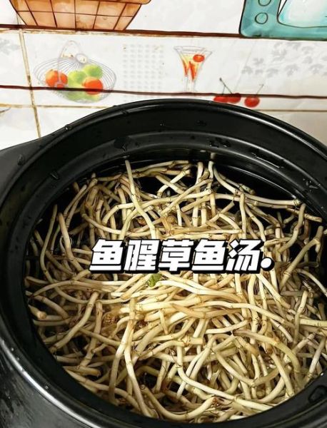 炖鱼汤怎么炖好喝不腥_鱼汤去腥技巧-第2张图片-山城妙识 炖鱼汤怎么炖好喝不腥_鱼汤去腥技巧-第2张图片-山城妙识