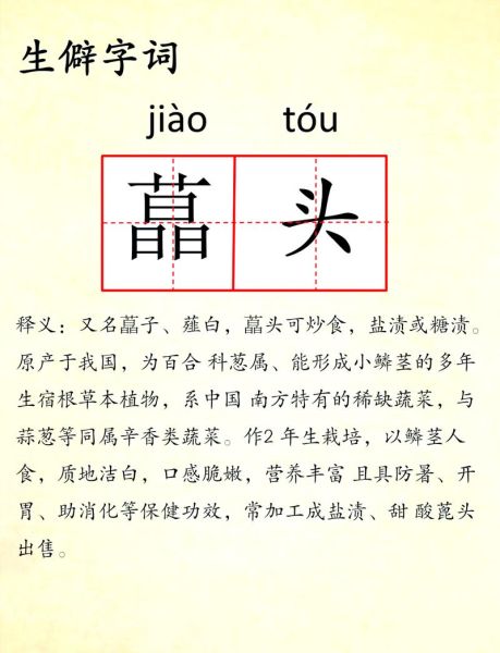 老鸹头是什么_老鸹头怎么治-第1张图片-山城妙识 老鸹头是什么_老鸹头怎么治-第1张图片-山城妙识