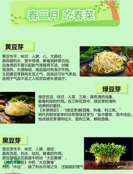 豆芽不能和什么一起吃_豆芽相克食物有哪些-第2张图片-山城妙识