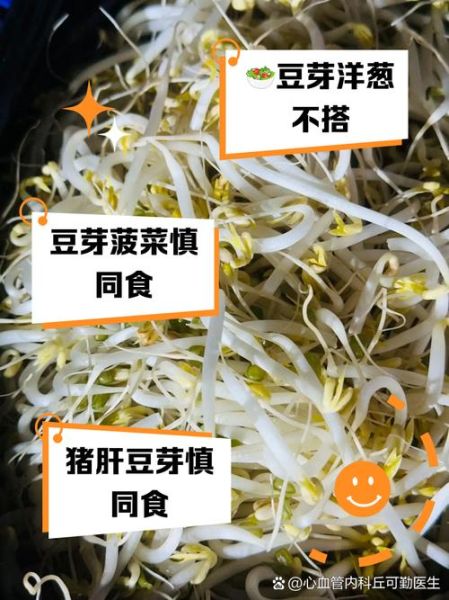 豆芽不能和什么一起吃_豆芽相克食物有哪些-第3张图片-山城妙识