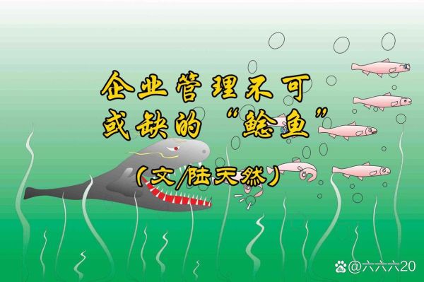 鲶鱼效应是什么意思_鲶鱼效应在企业管理中的应用-第3张图片-山城妙识 鲶鱼效应是什么意思_鲶鱼效应在企业管理中的应用-第3张图片-山城妙识