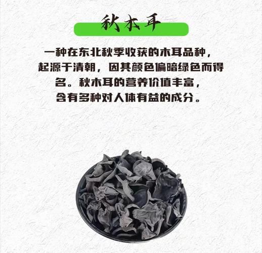 松蘑和榛蘑哪个好_营养价值与口感对比-第1张图片-山城妙识