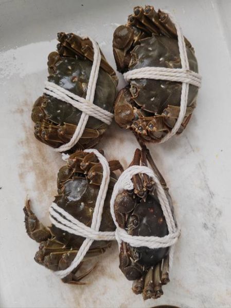 花雕蟹是哪里的菜_花雕蟹怎么做才正宗-第3张图片-山城妙识 花雕蟹是哪里的菜_花雕蟹怎么做才正宗-第3张图片-山城妙识