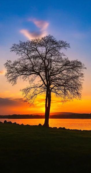 高清壁纸哪里下载_如何设置4K壁纸不模糊-第2张图片-山城妙识 高清壁纸哪里下载_如何设置4K壁纸不模糊-第2张图片-山城妙识