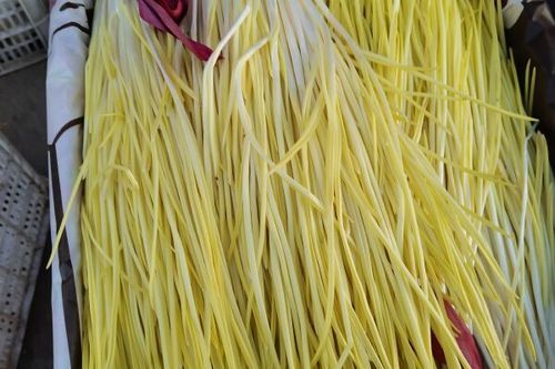 蒜黄价格多少钱一斤_蒜黄价格为何波动大-第2张图片-山城妙识 蒜黄价格多少钱一斤_蒜黄价格为何波动大-第2张图片-山城妙识