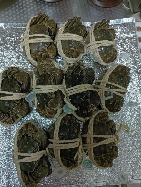 阳澄湖大闸蟹进货渠道_正宗蟹源怎么找-第3张图片-山城妙识 阳澄湖大闸蟹进货渠道_正宗蟹源怎么找-第3张图片-山城妙识