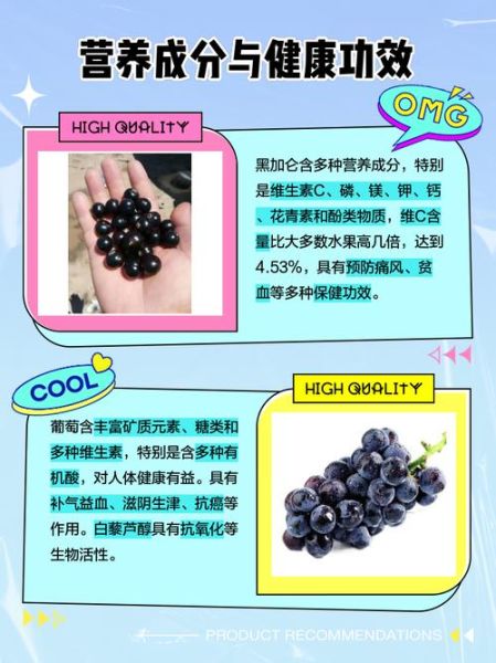 黑加仑和葡萄的区别_黑加仑是葡萄吗-第2张图片-山城妙识 黑加仑和葡萄的区别_黑加仑是葡萄吗-第2张图片-山城妙识