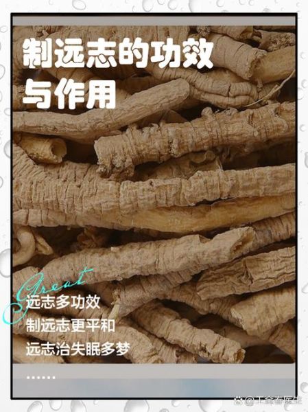远志的功效与作用吃法_远志怎么泡水喝-第2张图片-山城妙识
