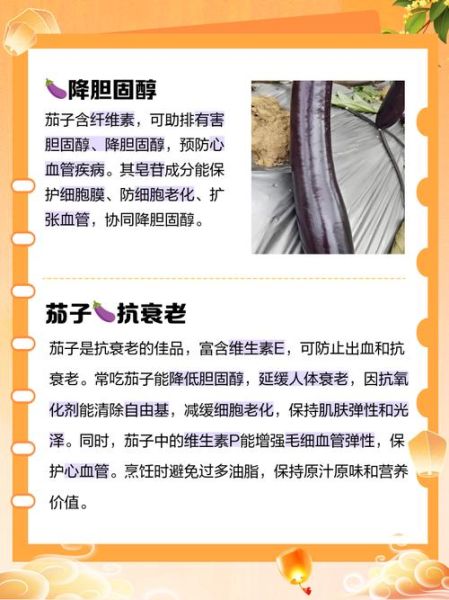 茄子热量是多少_减肥能吃茄子吗-第1张图片-山城妙识 茄子热量是多少_减肥能吃茄子吗-第1张图片-山城妙识