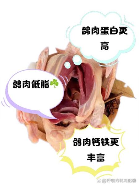 鸽子和鸡哪个营养高_鸽子和鸡营养价值对比-第1张图片-山城妙识 鸽子和鸡哪个营养高_鸽子和鸡营养价值对比-第1张图片-山城妙识