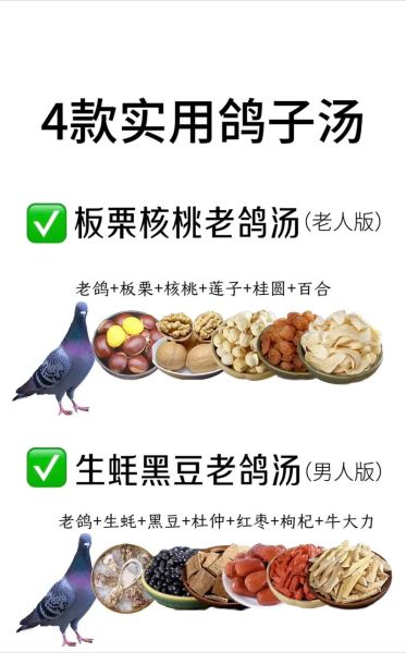 鸽子和鸡哪个营养高_鸽子和鸡营养价值对比-第3张图片-山城妙识 鸽子和鸡哪个营养高_鸽子和鸡营养价值对比-第3张图片-山城妙识