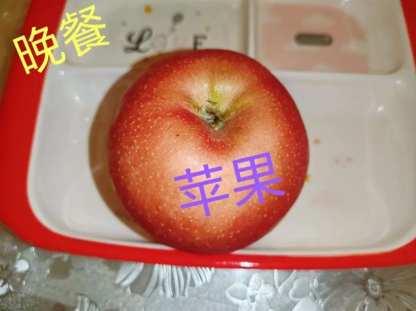 蒸蛋器可以蒸红薯吗_蒸红薯要多长时间-第1张图片-山城妙识