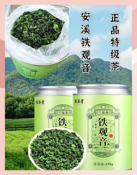 铁观音茶多少钱一斤_铁观音价格表怎么看-第3张图片-山城妙识 铁观音茶多少钱一斤_铁观音价格表怎么看-第3张图片-山城妙识