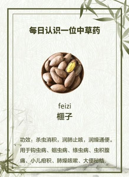 香榧子一天吃几个_香榧子吃多了会怎样-第1张图片-山城妙识