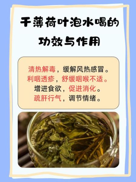 长期喝薄荷水好不好_薄荷水副作用有哪些-第1张图片-山城妙识 长期喝薄荷水好不好_薄荷水副作用有哪些-第1张图片-山城妙识