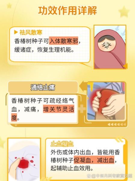 香椿树种子有什么功效_香椿树种子怎么吃-第1张图片-山城妙识 香椿树种子有什么功效_香椿树种子怎么吃-第1张图片-山城妙识