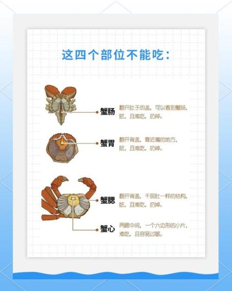 螃蟹怎么清洗内脏_图解步骤-第2张图片-山城妙识