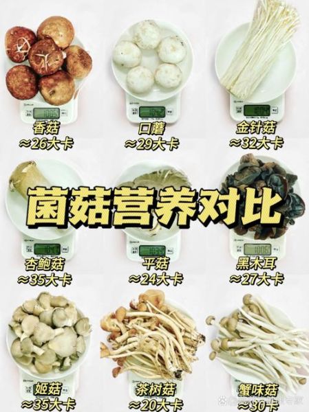 香菇炒肉的热量是多少_减肥能吃吗-第1张图片-山城妙识 香菇炒肉的热量是多少_减肥能吃吗-第1张图片-山城妙识