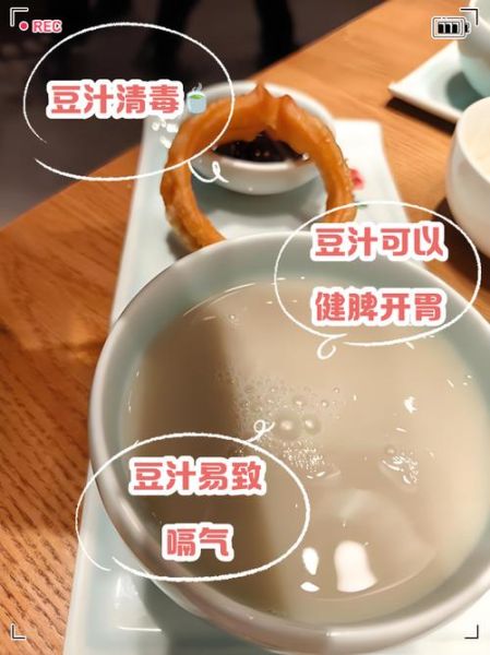 豆汁的功效与作用_豆汁适合什么人喝-第2张图片-山城妙识