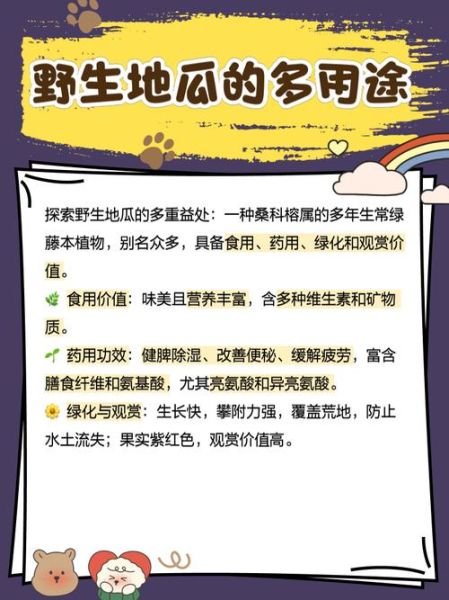 野地瓜几月份成熟_野地瓜成熟时间-第1张图片-山城妙识