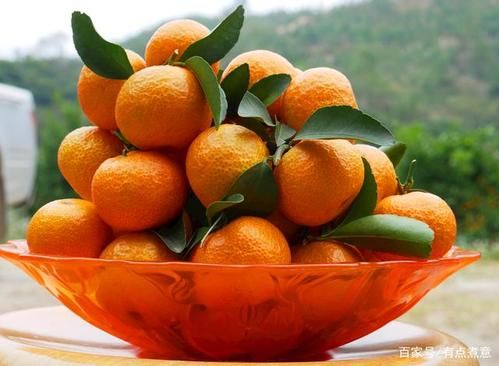 龙抬头吃什么水果_二月二最旺运水果推荐-第3张图片-山城妙识 龙抬头吃什么水果_二月二最旺运水果推荐-第3张图片-山城妙识