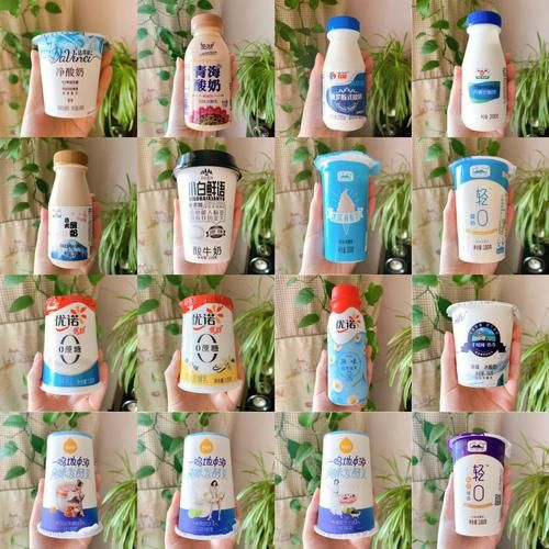 酸奶品牌排行榜_哪款酸奶最好喝-第2张图片-山城妙识 酸奶品牌排行榜_哪款酸奶最好喝-第2张图片-山城妙识
