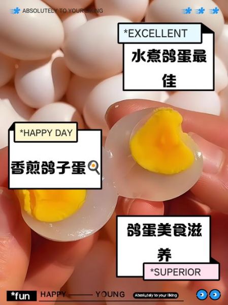 鸽子蛋怎么吃最有营养_孕妇鸽子蛋的正确吃法-第1张图片-山城妙识 鸽子蛋怎么吃最有营养_孕妇鸽子蛋的正确吃法-第1张图片-山城妙识