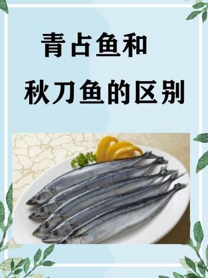 青占鱼怎么做好吃_青占鱼的营养价值-第3张图片-山城妙识 青占鱼怎么做好吃_青占鱼的营养价值-第3张图片-山城妙识