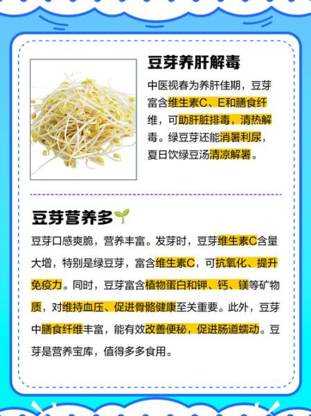 黄豆芽的功效与作用_黄豆芽的禁忌人群-第1张图片-山城妙识 黄豆芽的功效与作用_黄豆芽的禁忌人群-第1张图片-山城妙识