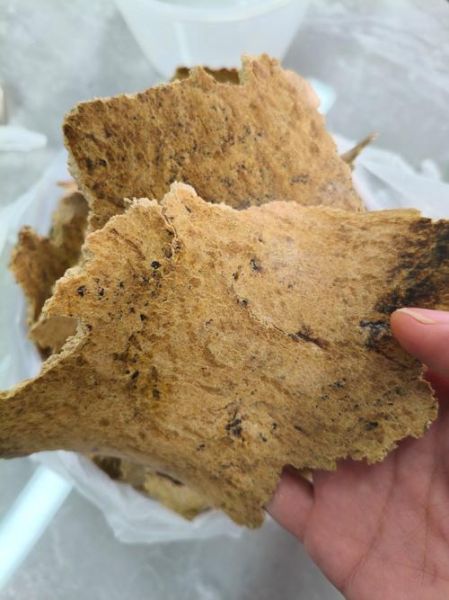 豆饼价格最新行情_豆饼多少钱一吨-第2张图片-山城妙识